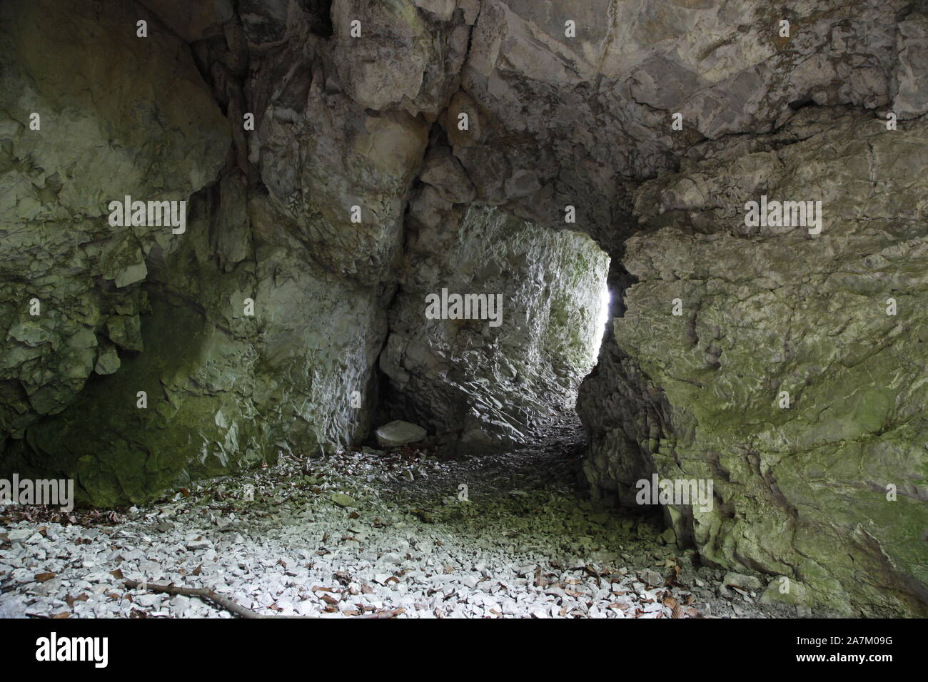 Recluse hermit hi-res stock photography and images - Alamy