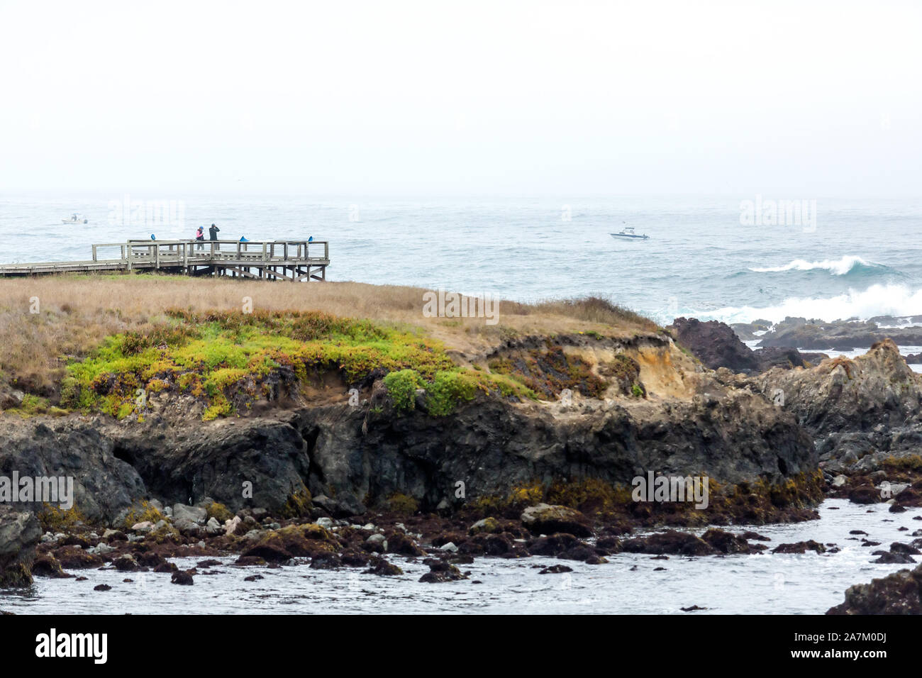 Wildlife viewing area with tourists looking at the sea Stock Photo - Alamy
