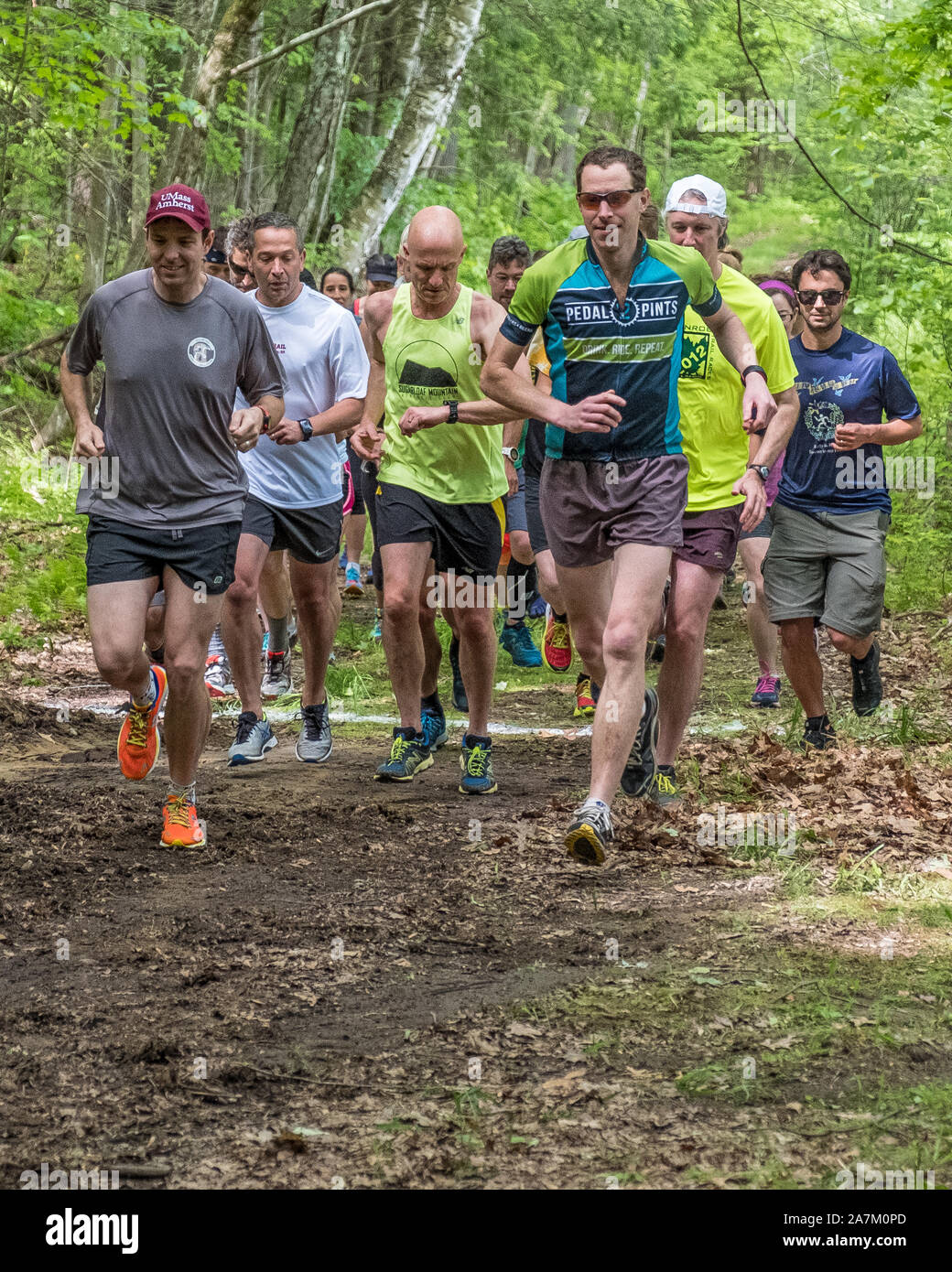 People running in a race along a wooded trail Stock Photo - Alamy