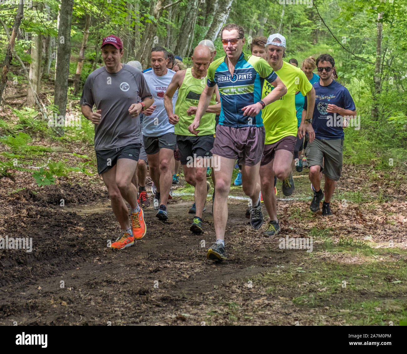 People running in a race along a wooded trail Stock Photo - Alamy
