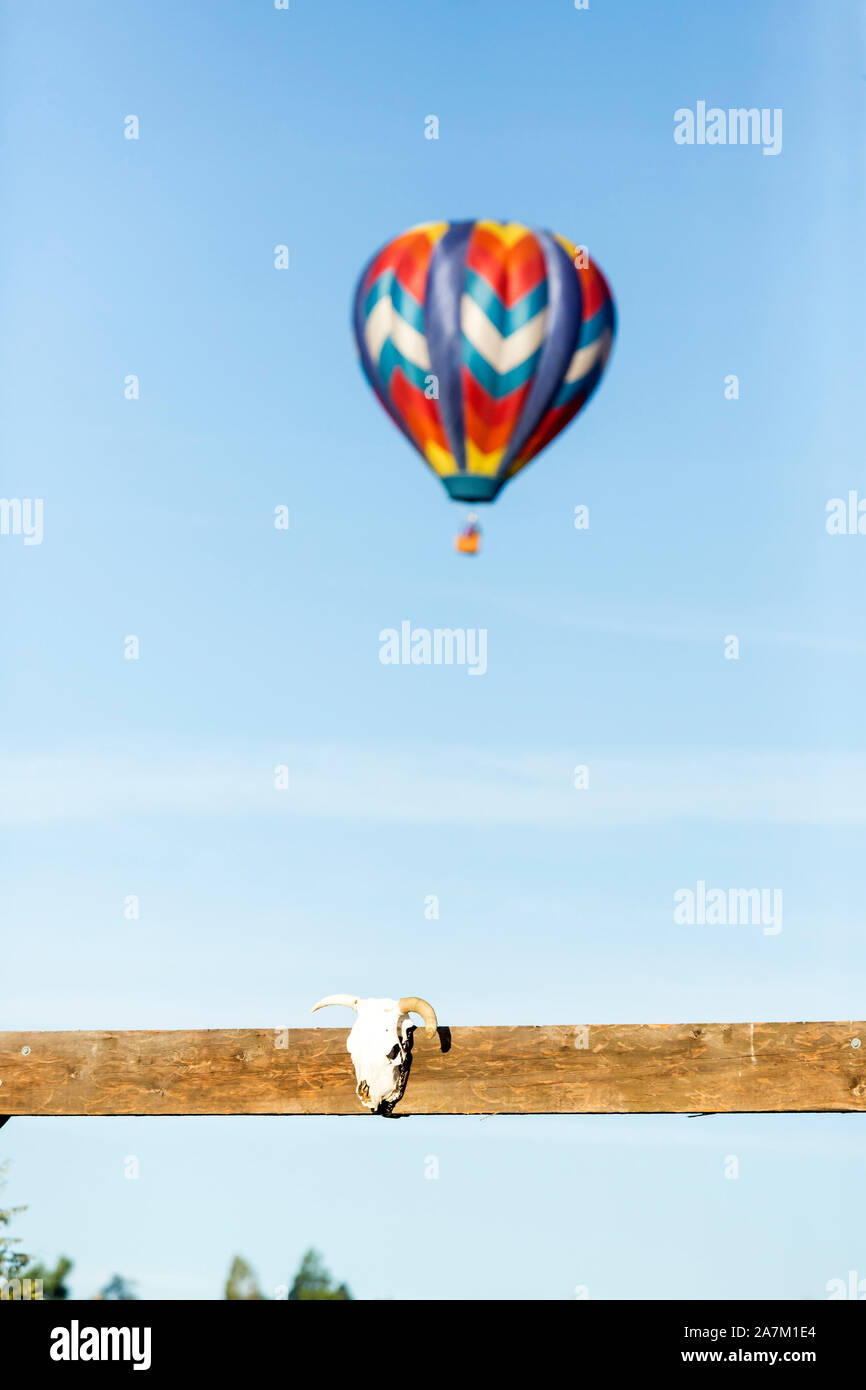 Flying cow hot air balloon hi-res stock photography and images - Alamy