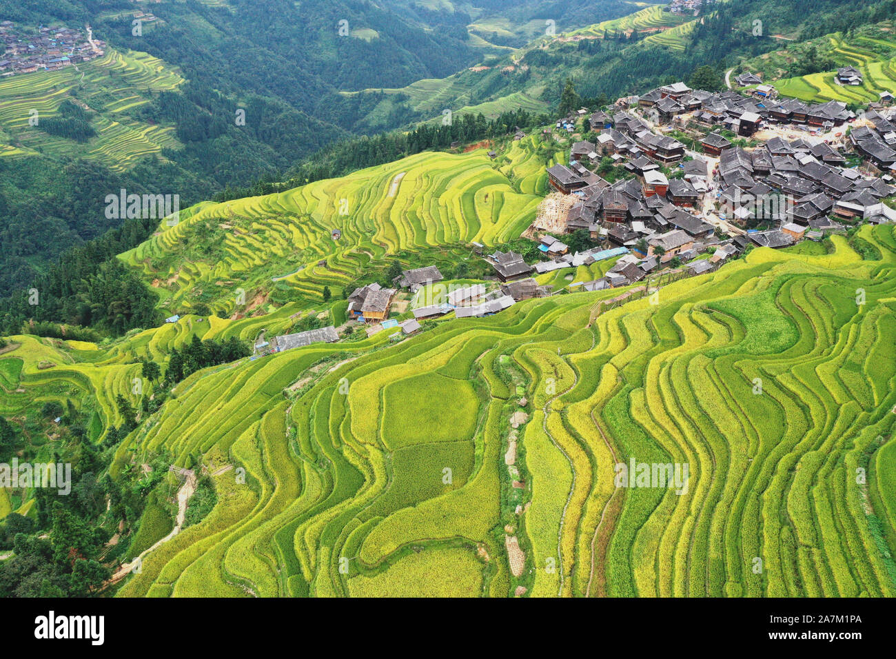 An aerial view of the Jiabang Terraced Fields in Congjiang county ...