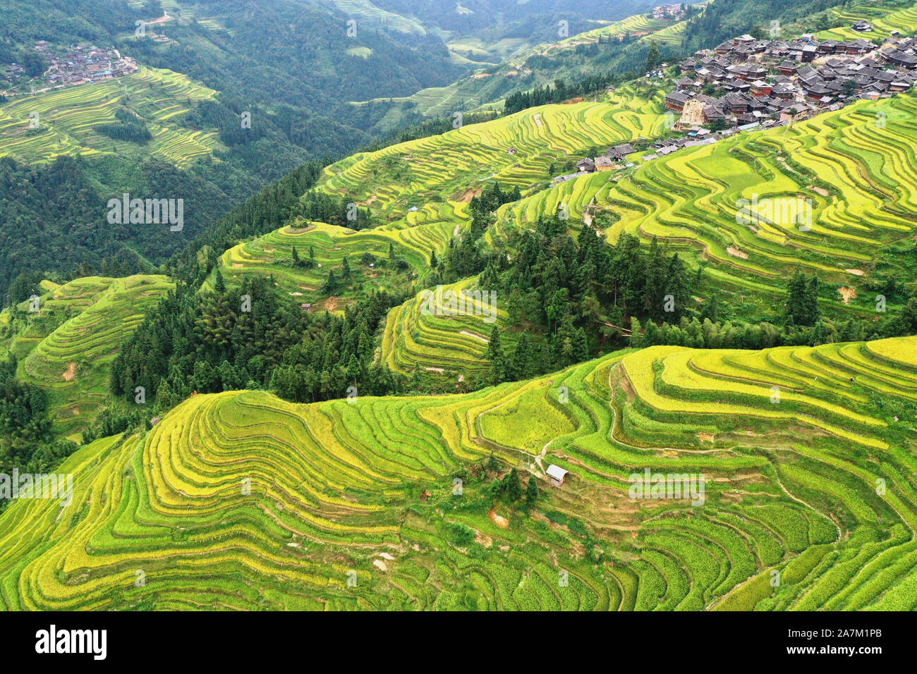 An aerial view of the Jiabang Terraced Fields in Congjiang county ...