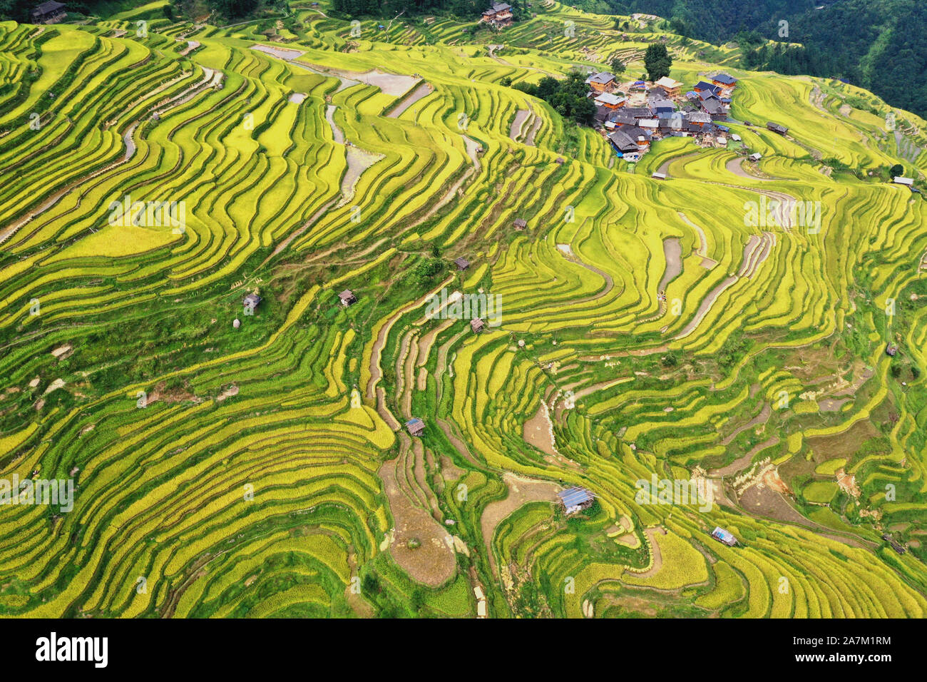An aerial view of the Jiabang Terraced Fields in Congjiang county ...