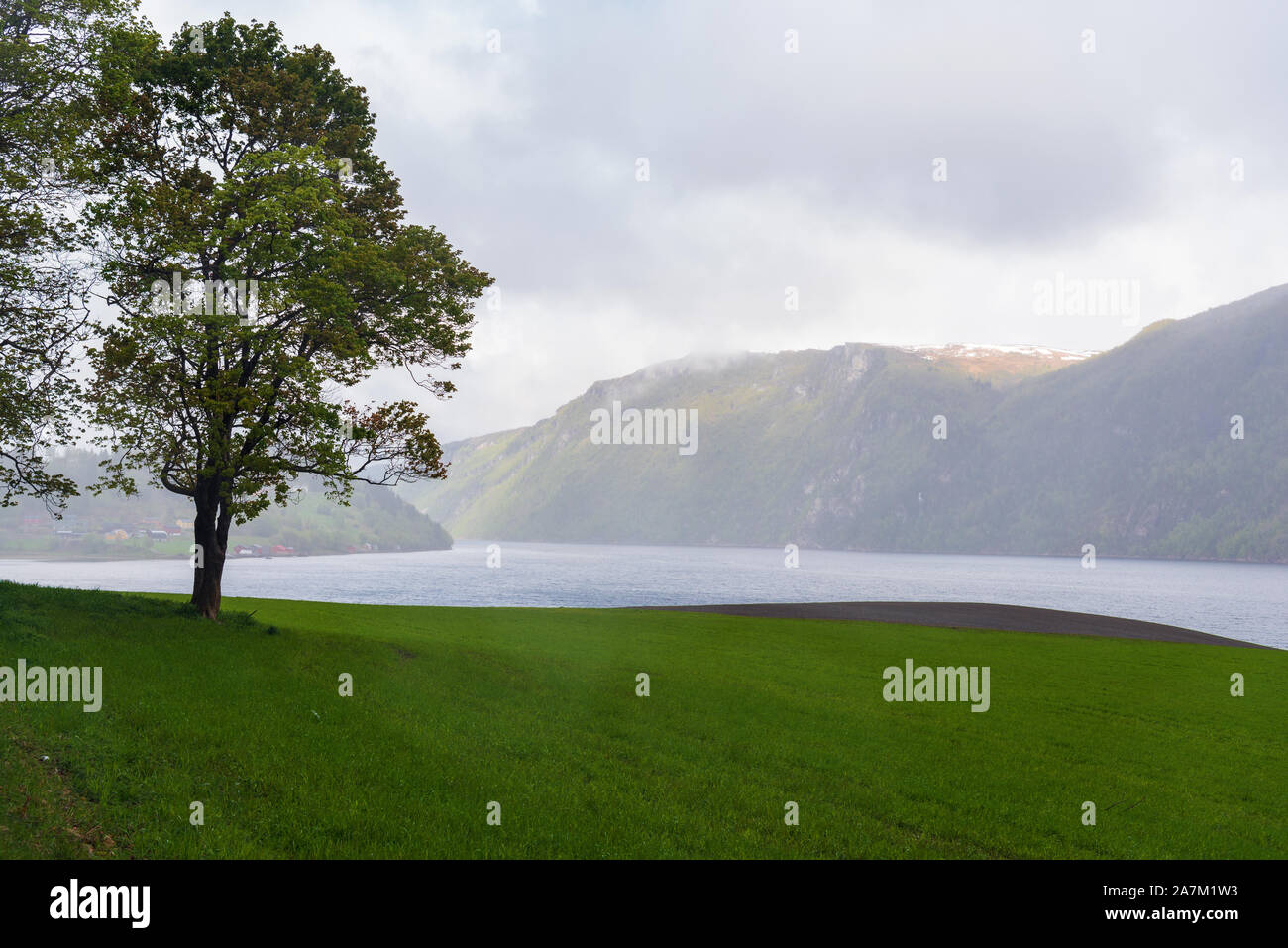 nature sceneries you meet on the way from Trondheim to Saebo, Norway ...