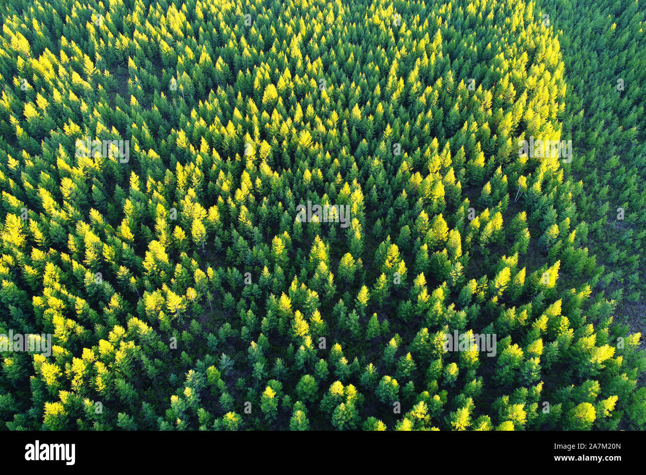 Da hinggan ling hi-res stock photography and images - Alamy