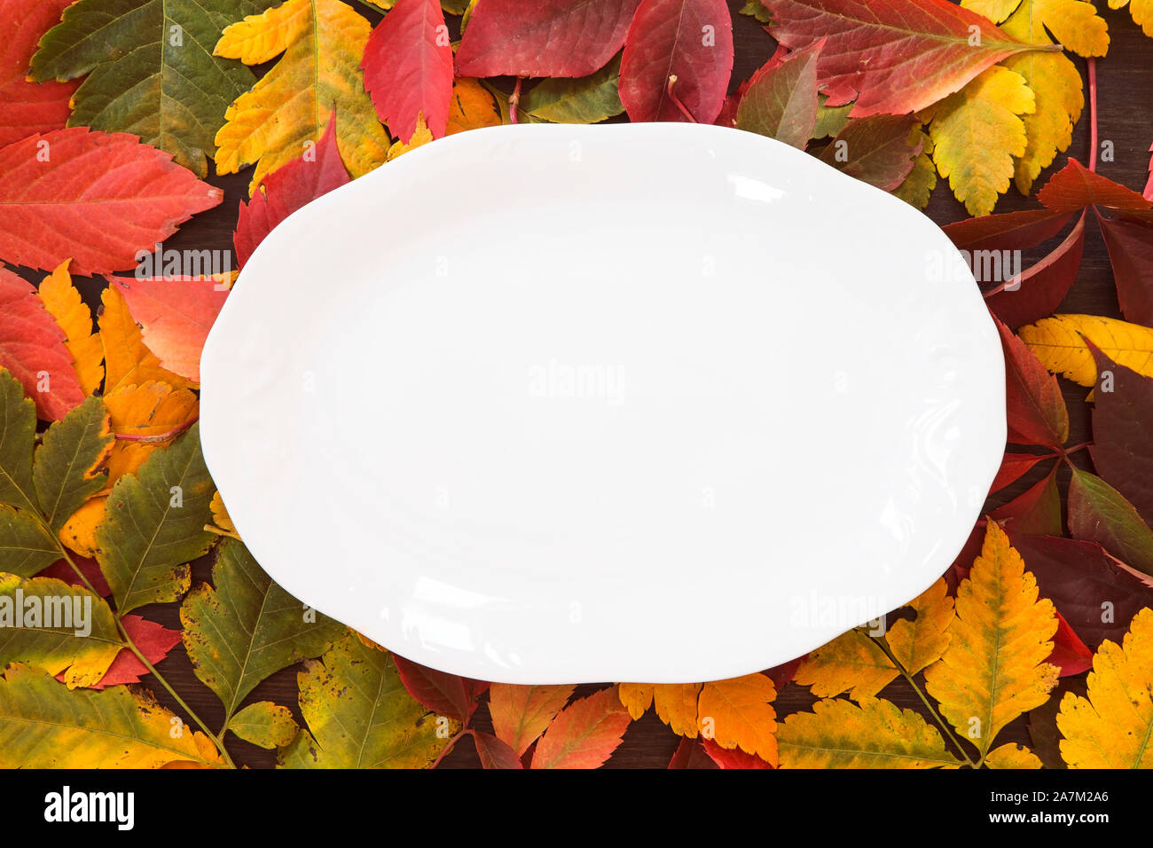 Seamless autumn pattern vibrant hi-res stock photography and images - Alamy