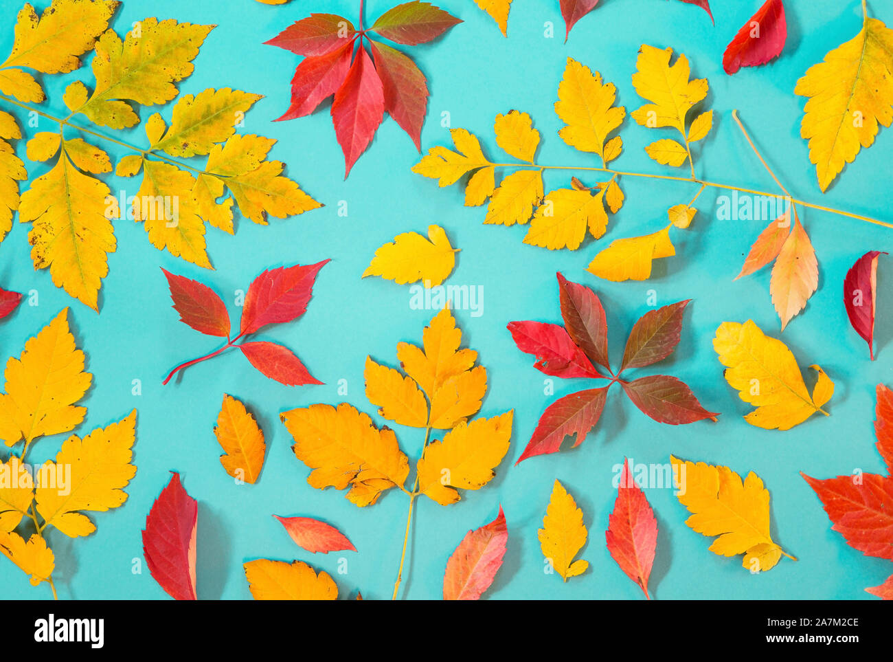 Blue leaves seamless pattern hi-res stock photography and images - Alamy