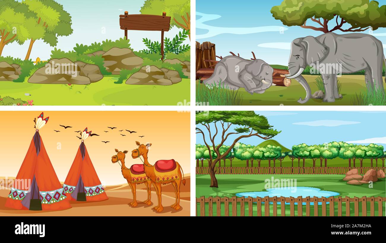 Four scenes with wild animals in parks illustration Stock Vector Image ...