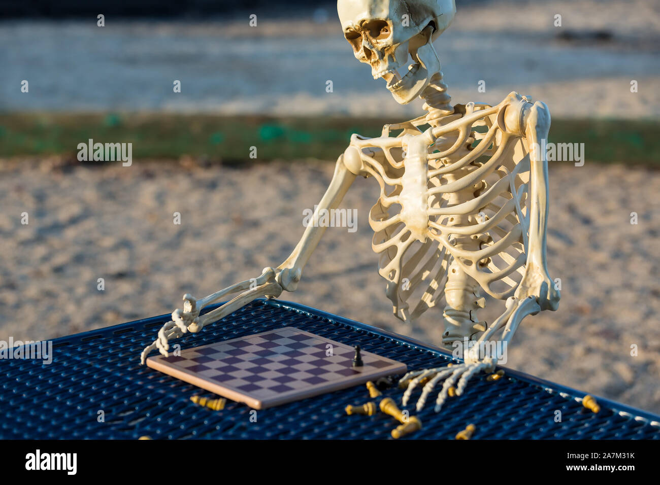 Angry skeleton scatters chess pieces after losing game Stock Photo - Alamy