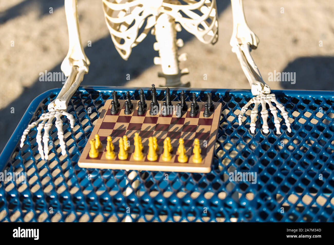 Skeleton playing chess in a park Stock Photo - Alamy