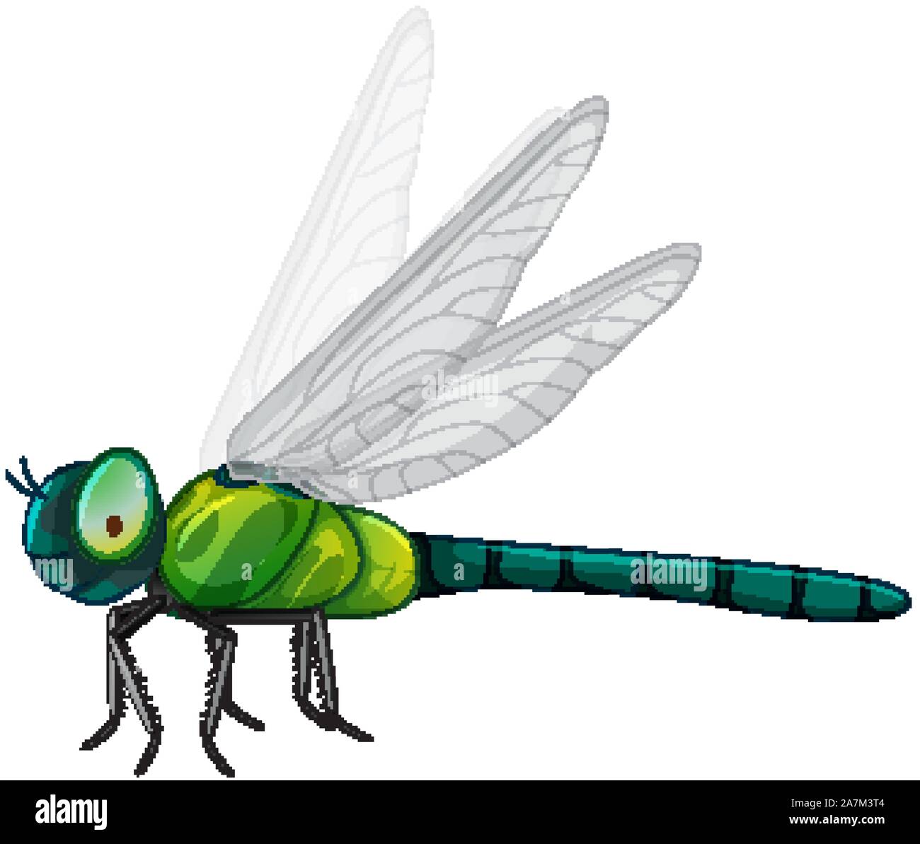 Green dragonfly on white background illustration Stock Vector Image ...