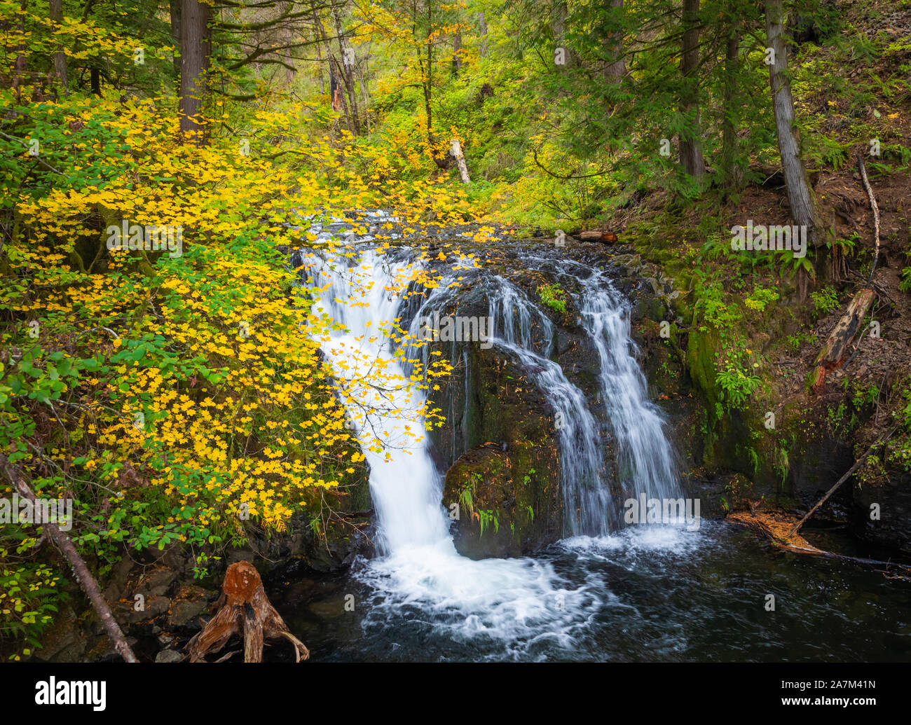 Multnomah Falls in the Columbia River Gorge, Oregon Stock Photo - Alamy