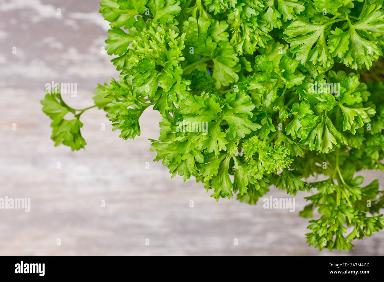 Parsley top view hi-res stock photography and images - Alamy