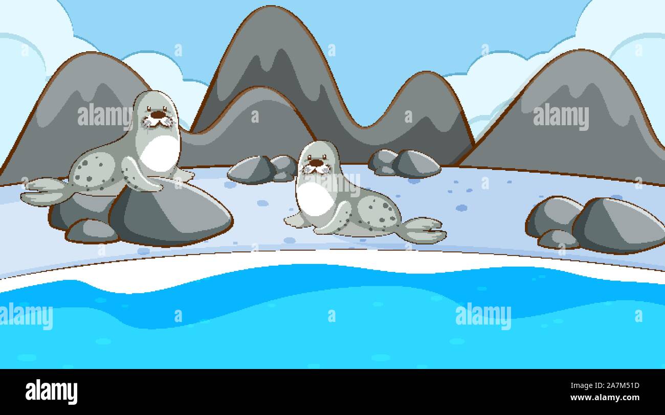 Scene with two seals on ice illustration Stock Vector Image & Art - Alamy