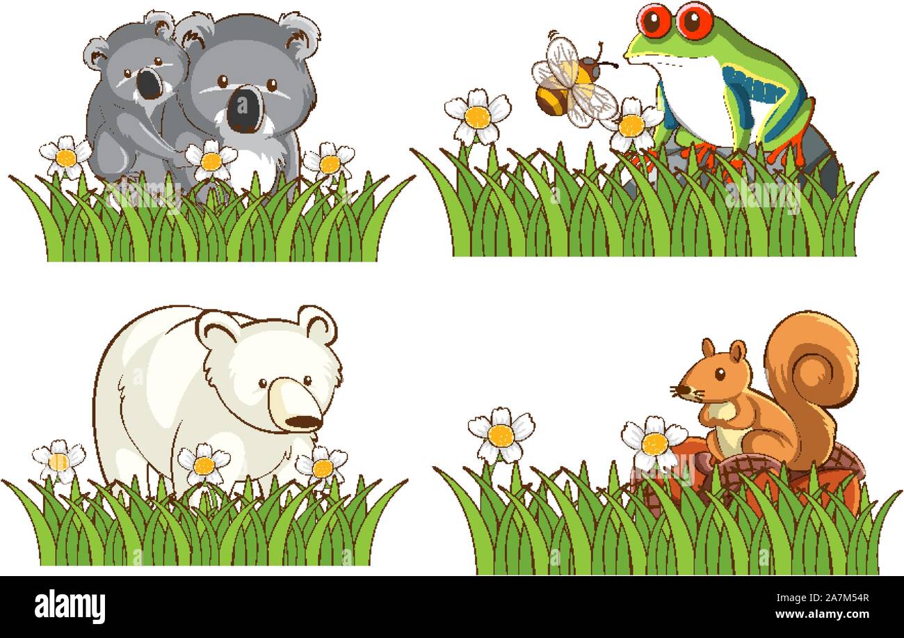 Grassland Animals Clipart For Kids