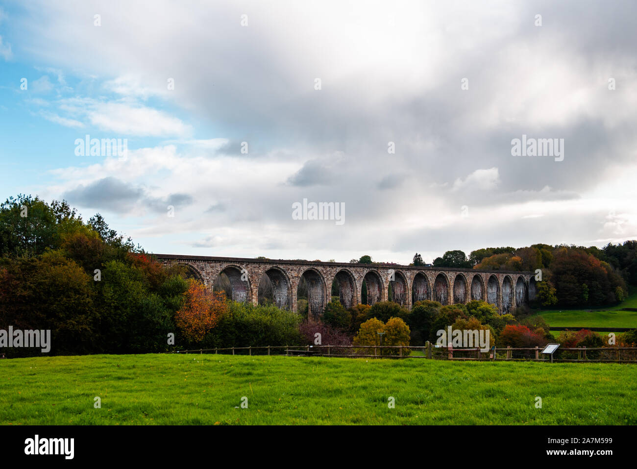 Hidden gem in Wales during Autumn - Ty Mawr Country Park. Trails are ...