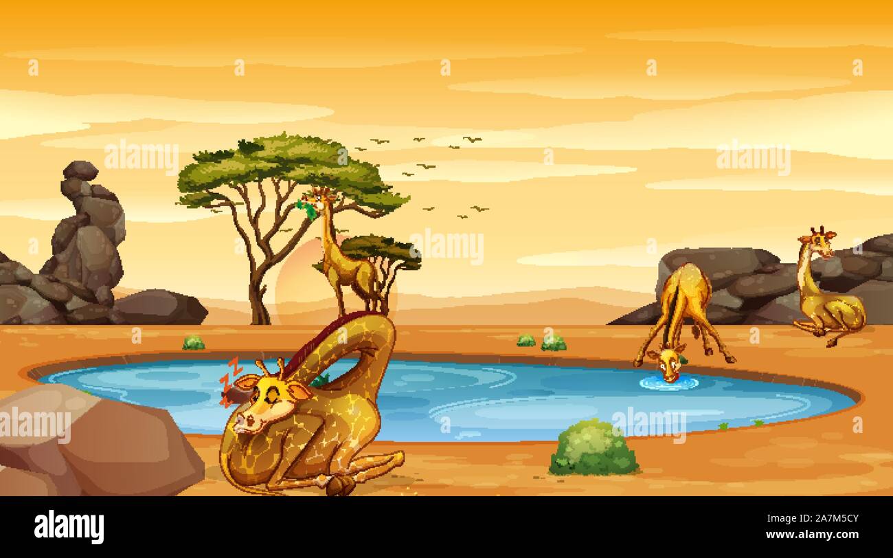 Scene with giraffes by the pond illustration Stock Vector Image & Art ...