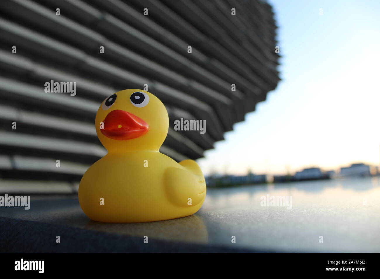 a picture of a yellow rubber duck at the V&A Dundee, Scotland Stock ...