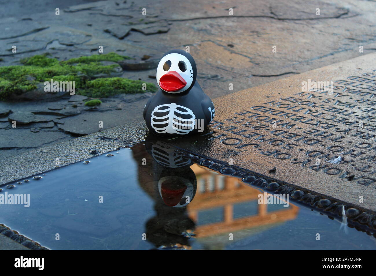 a skeleton duck in the howff graveyard, Dundee, Scotland Stock Photo ...