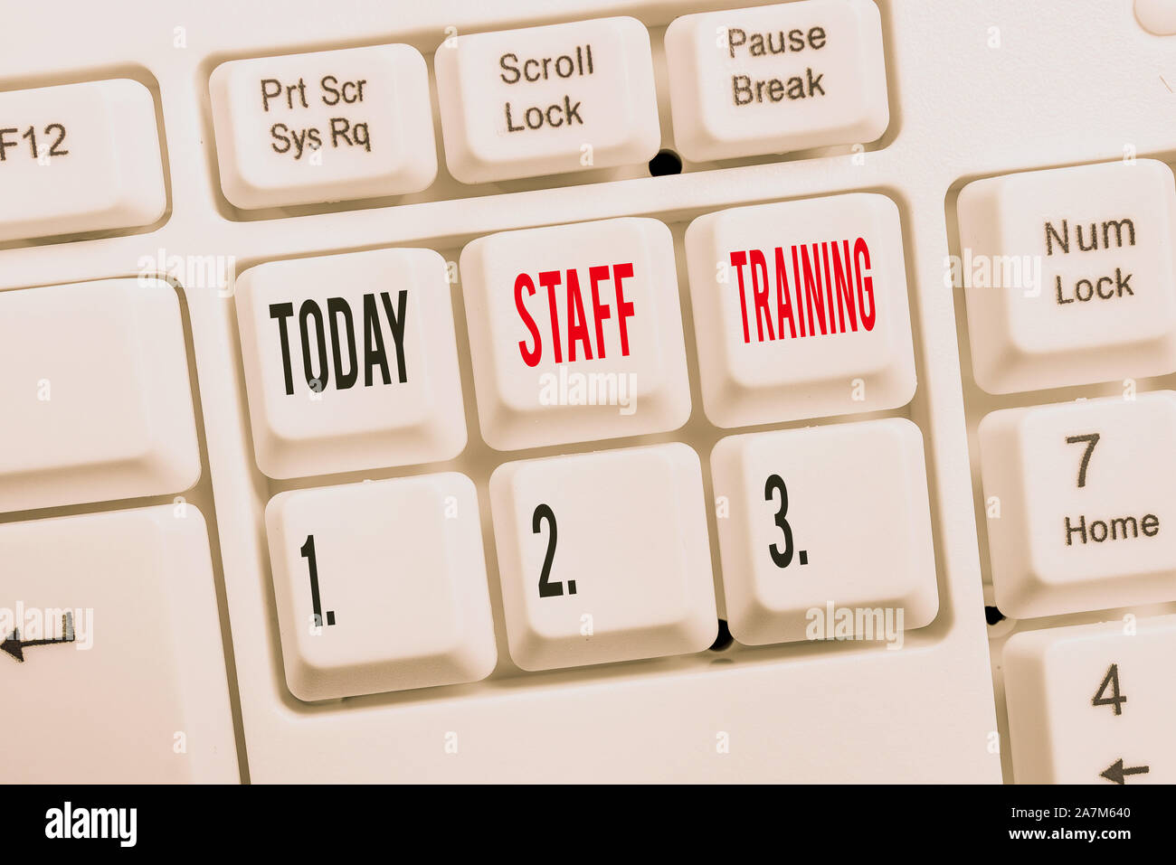 Word writing text Staff Training. Business photo showcasing program ...