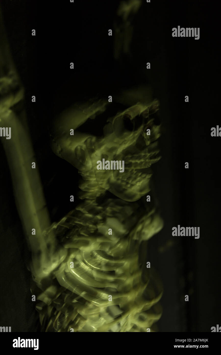 Skeleton hanging in the darkness ready to scare people. Intentional ...