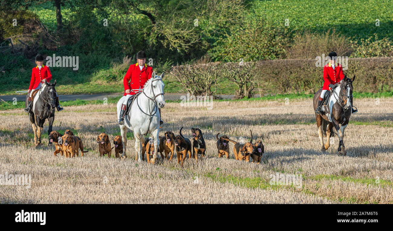 Cranwell, Lincoln, Lincolnshire, UK. 3rd November 2017. On Saint Hubert ...