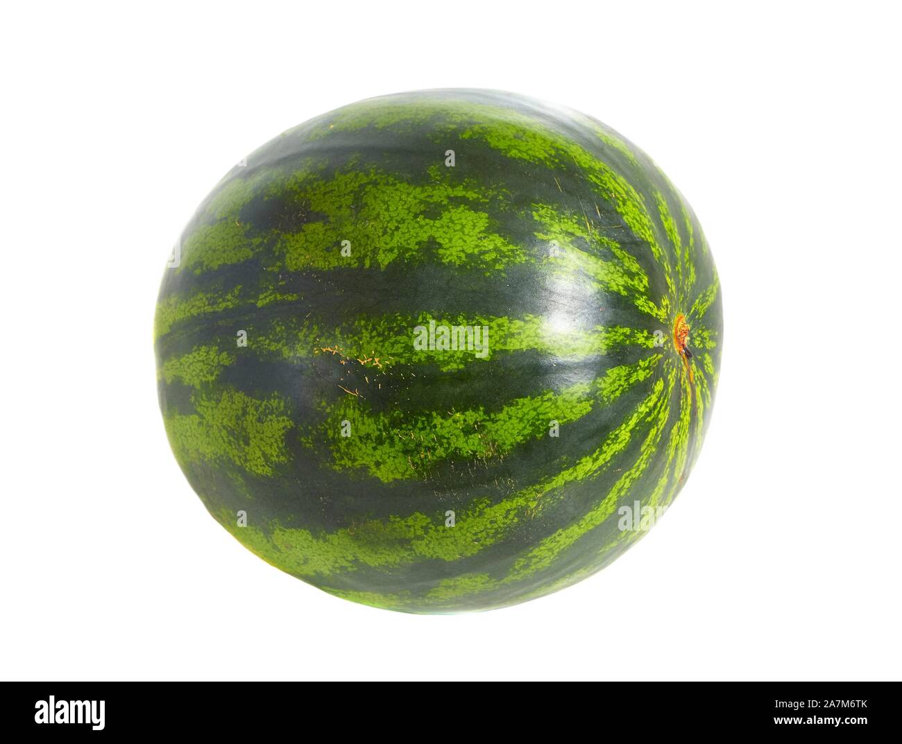 Watermelon a white background Stock Photo - Alamy