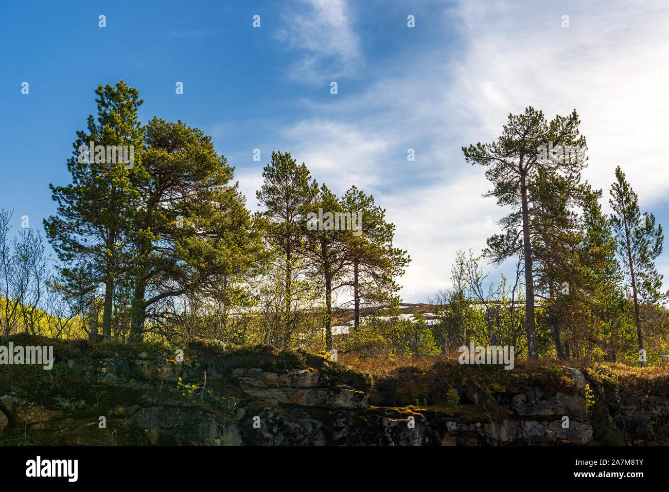 natural scnarios you meet on the way from Fauske to Narvik during the ...