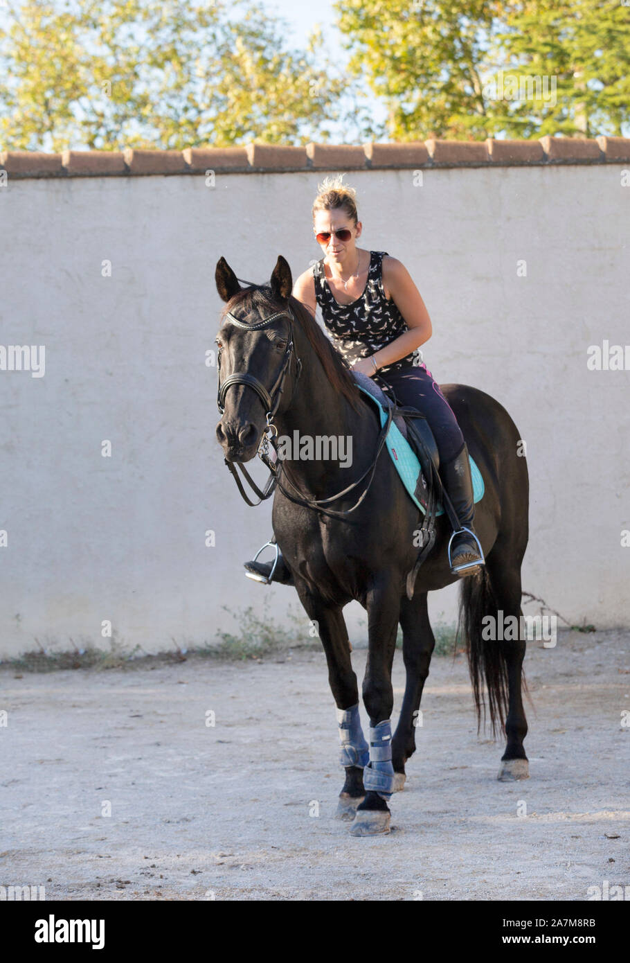 riding girl are training her black horse Stock Photo - Alamy