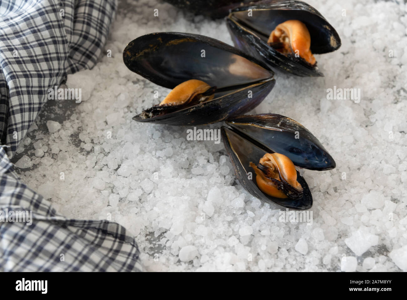 Cooked delicious black mussel, salty white background. Healthy eating ...