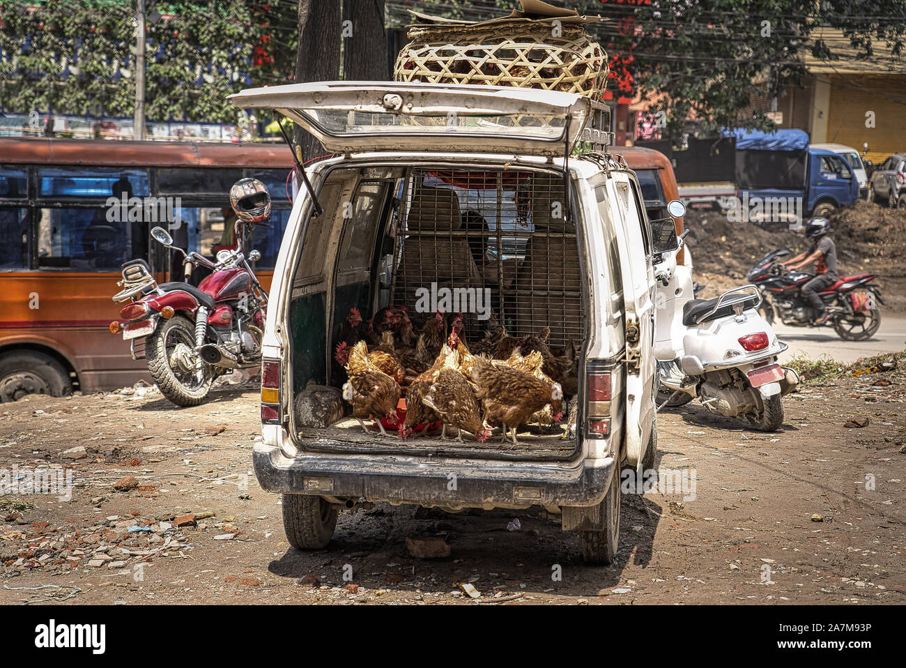 Chickens And Vintage Chicken Coop High Resolution Stock Photography and ...