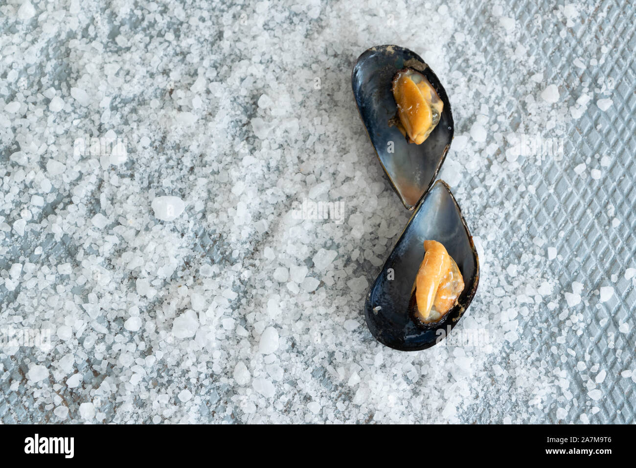 Cooked delicious black mussel, salty white background. Healthy eating ...