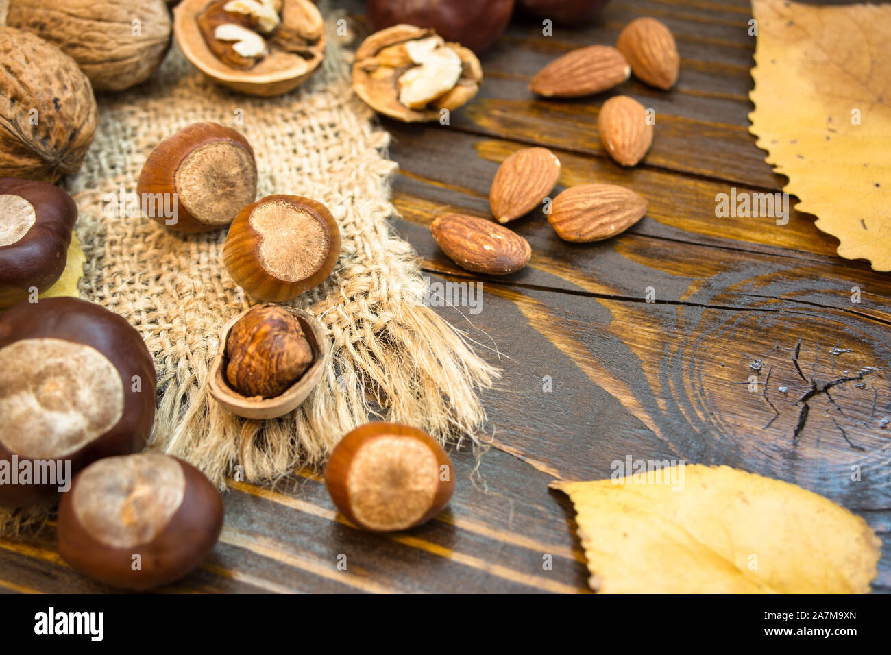 Mix of different nuts on a rustic background. Close-up photo with copy ...