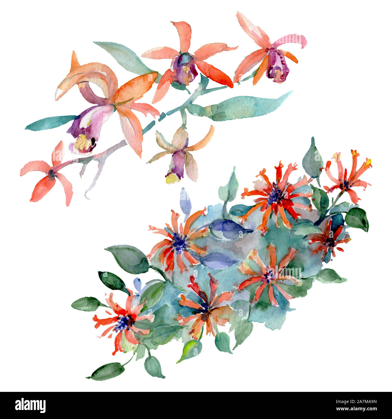 Bouquet floral botanical flowers. Watercolor background illustration ...