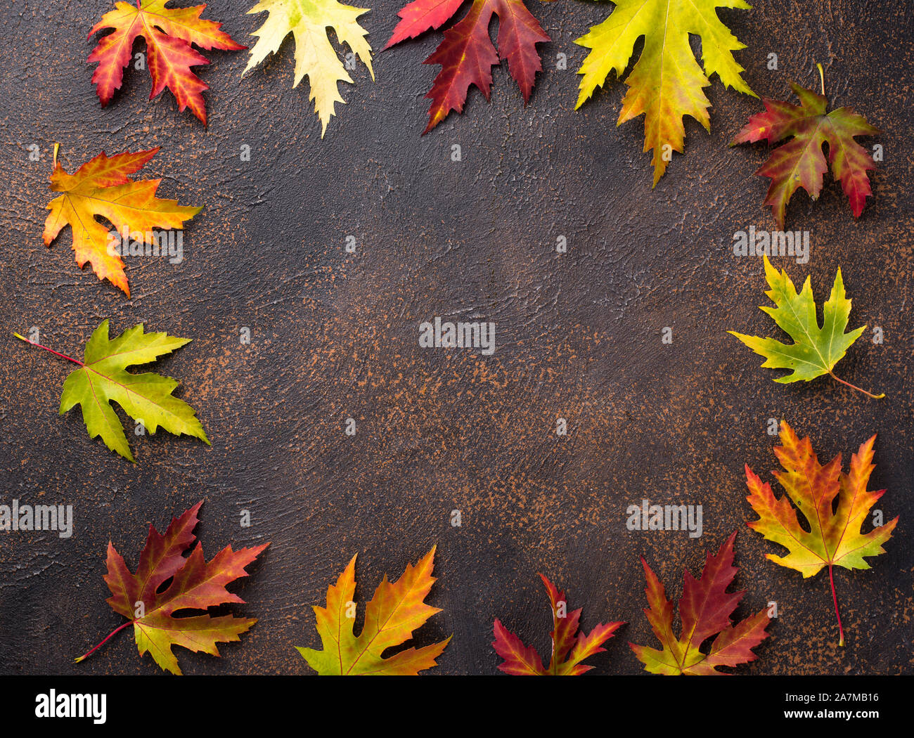 Fall ombre leaves hi-res stock photography and images - Alamy