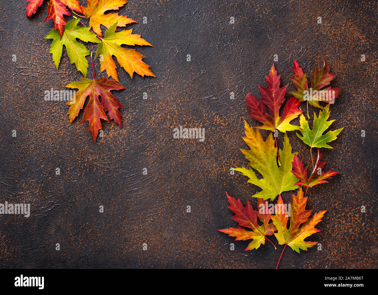 Autumn background with maple leaves Stock Photo - Alamy