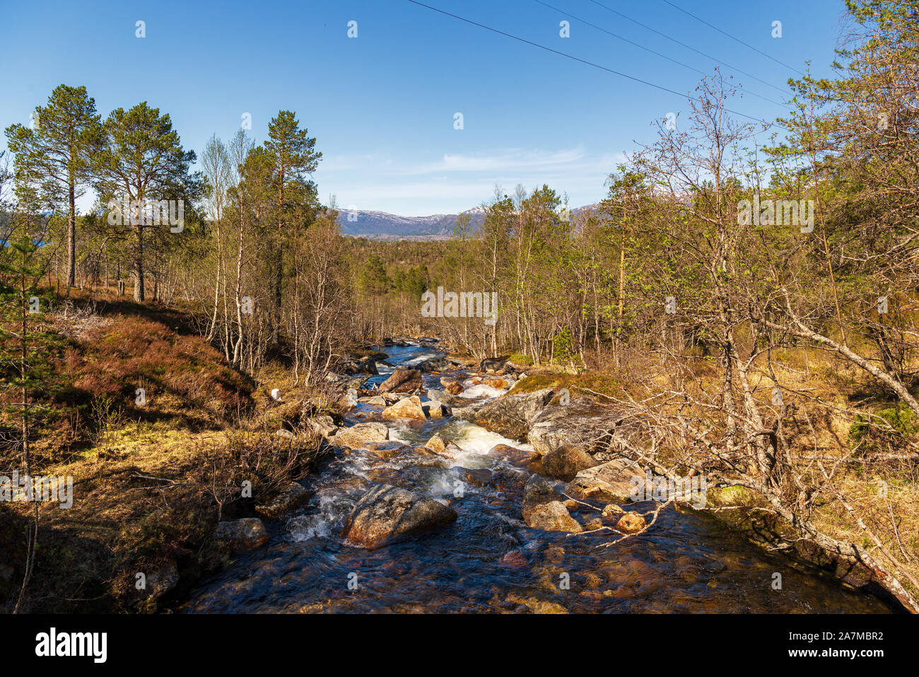 natural scnarios you meet on the way from Fauske to Narvik during the ...