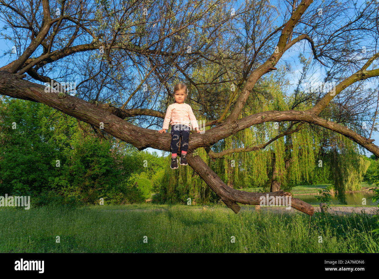 Outdoor in nature hi-res stock photography and images - Alamy