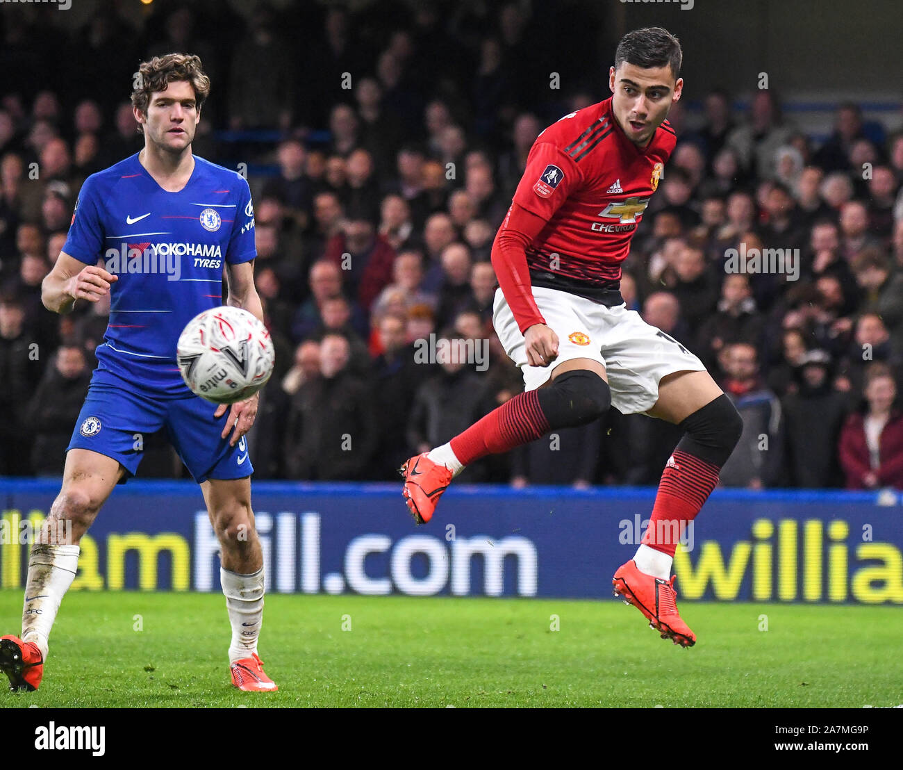 Chelsea pereira hi-res stock photography and images - Alamy