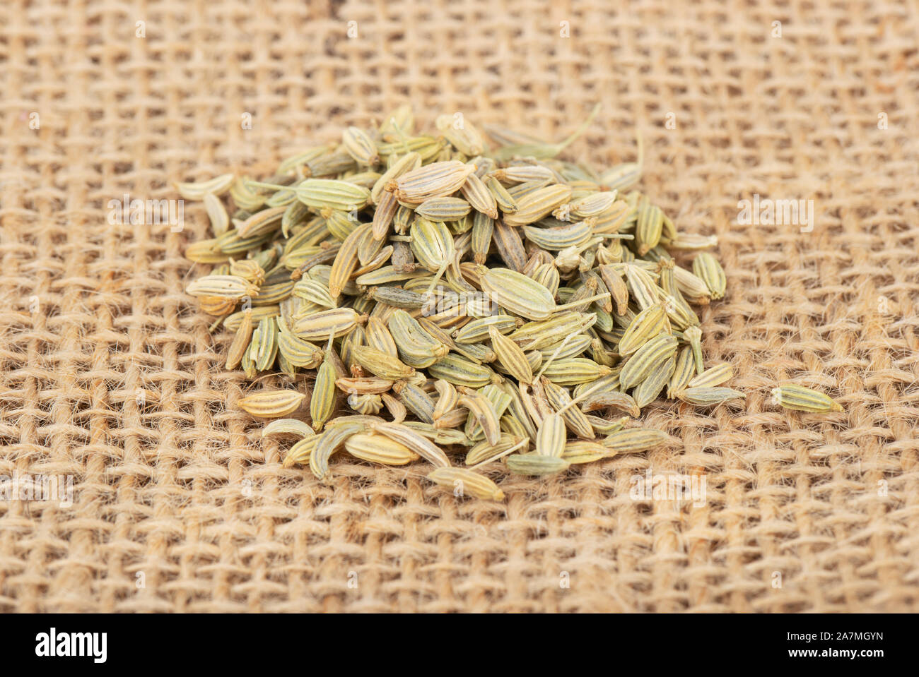 Bunch of fennel hi-res stock photography and images - Alamy