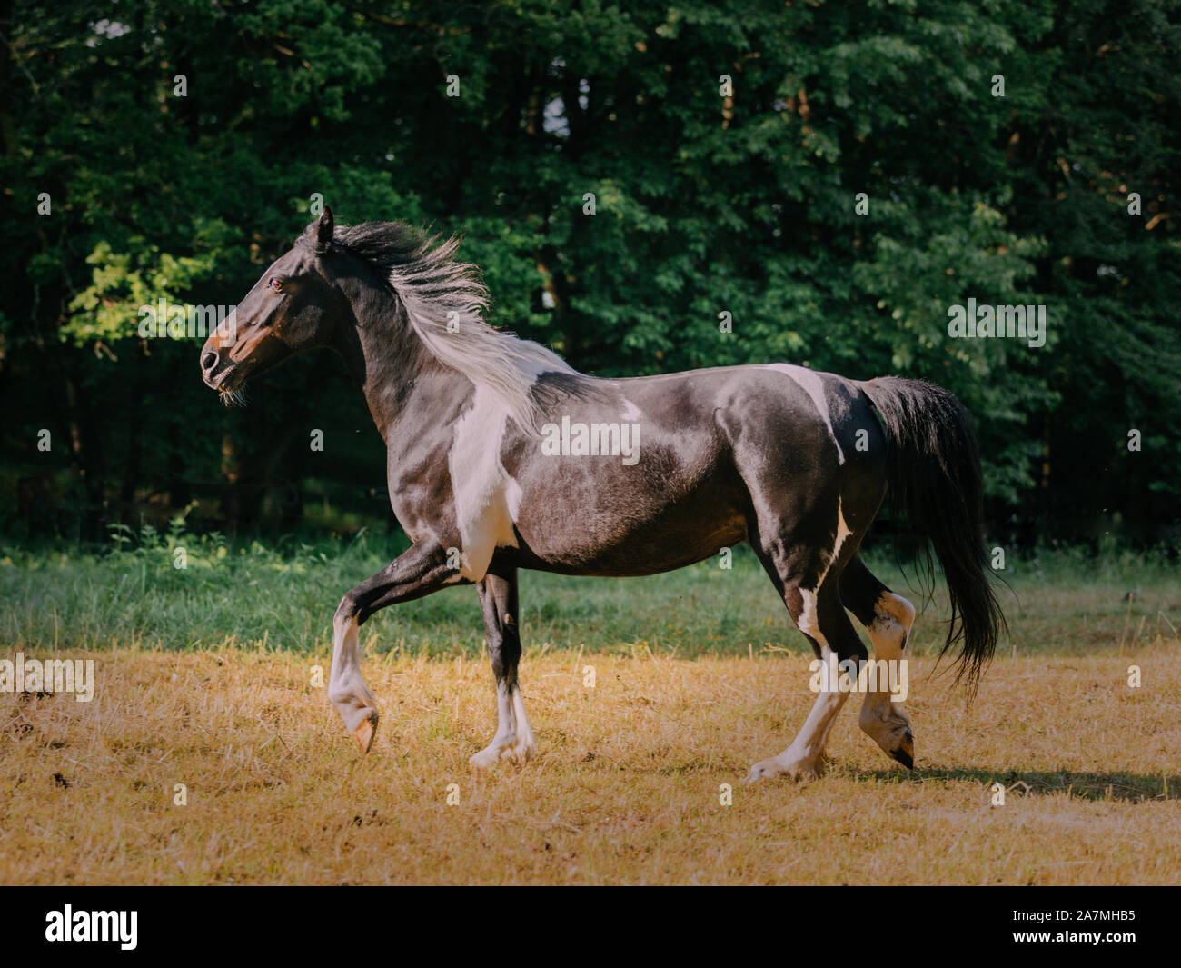 Outside shot hi-res stock photography and images - Alamy