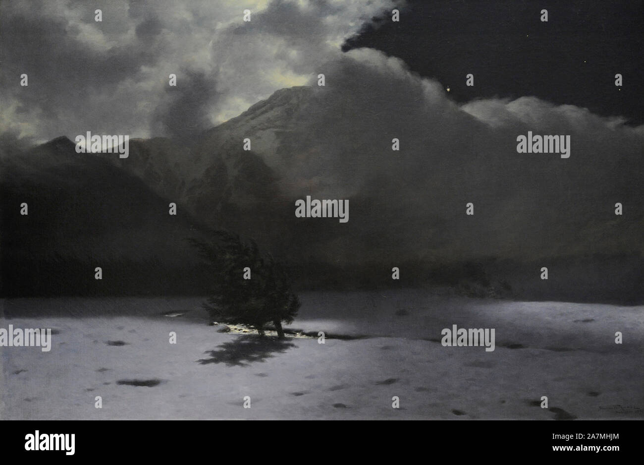 Natural history museum in krakow hi-res stock photography and images ...