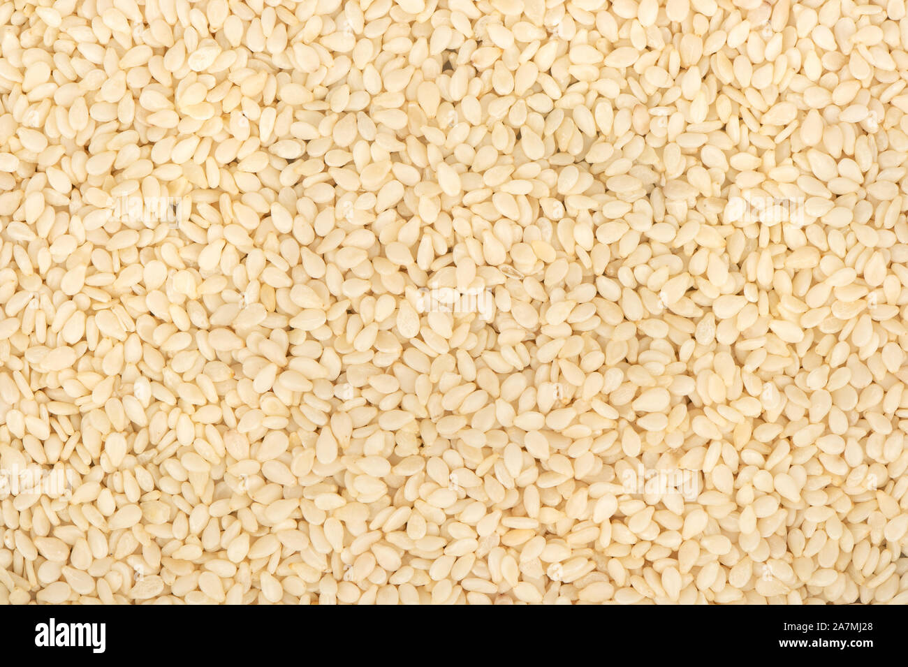 Black sesame seeds vegetable cereal grain ingredient hi-res stock ...