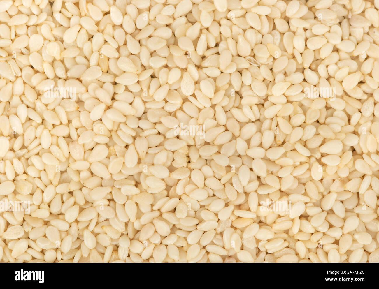 Black sesame seeds vegetable cereal grain ingredient hi-res stock ...