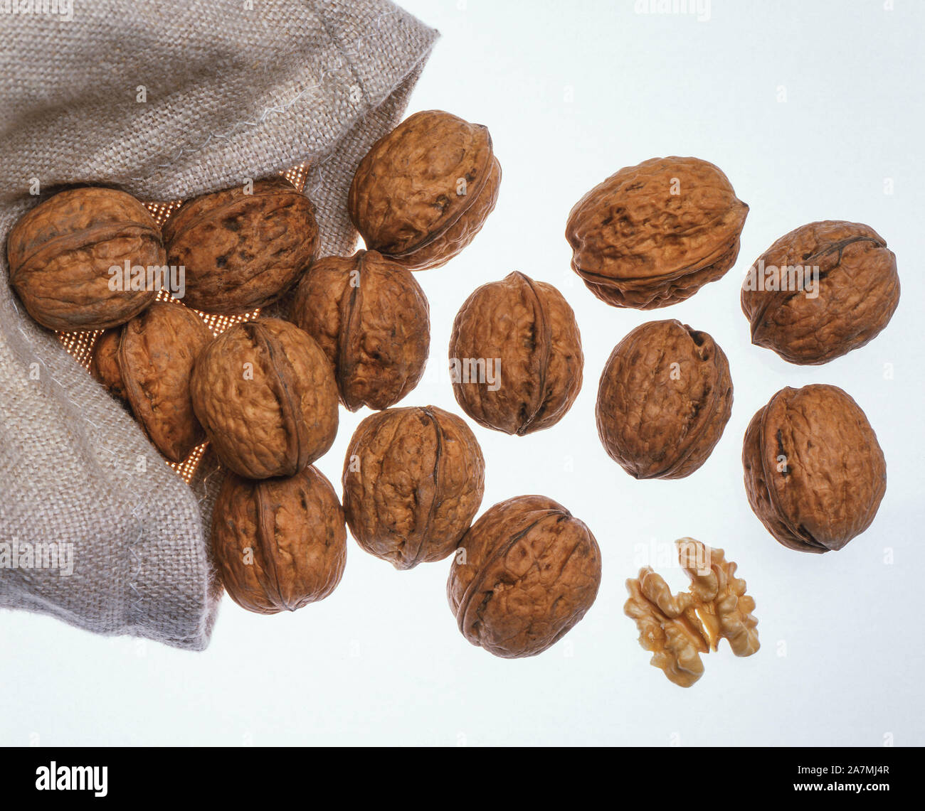 Persian Walnuts (Juglans regia) in a sack on white background Stock ...