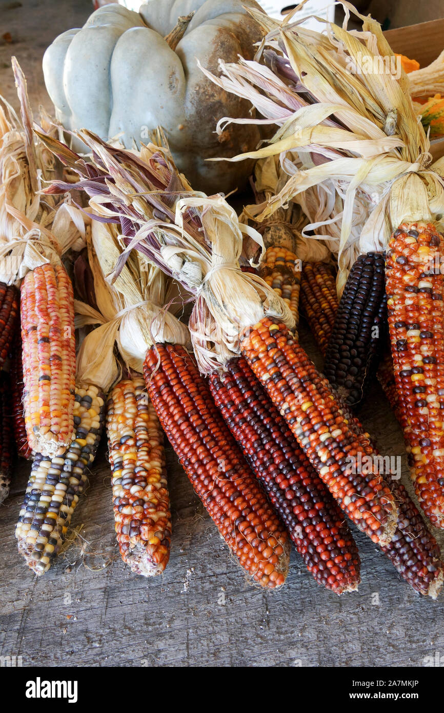Indian vegetable shop hi-res stock photography and images - Alamy