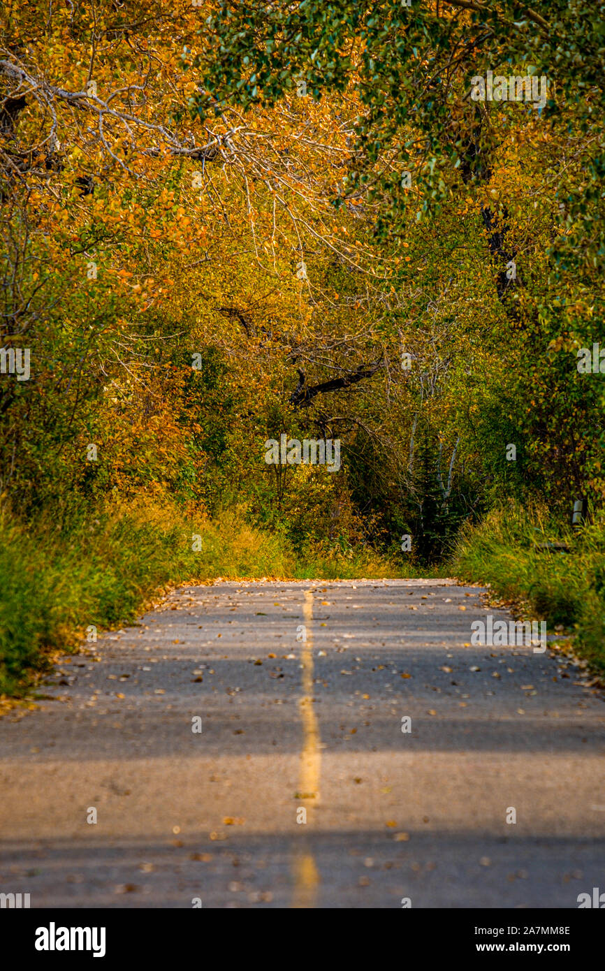 Fall colors in new brunswick hi-res stock photography and images - Alamy