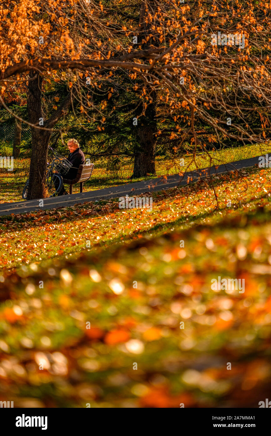 Calgary fall hi-res stock photography and images - Alamy
