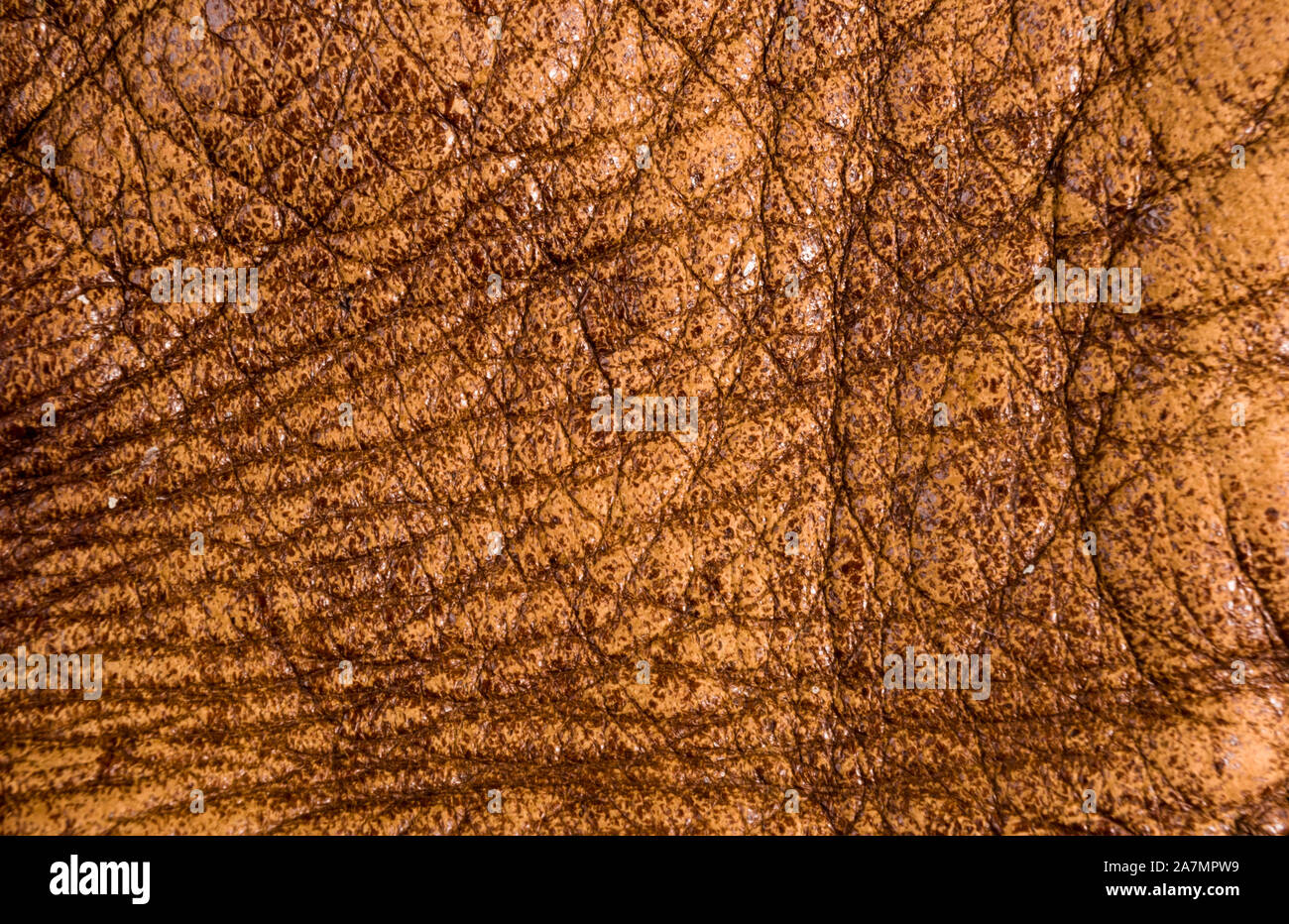 Old vintage genuine soft brown leather texture background, top layer ...